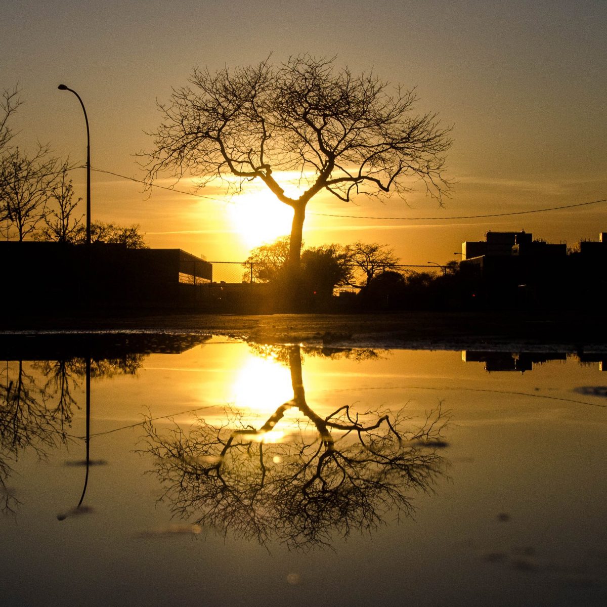 The Temporary Nature of Life