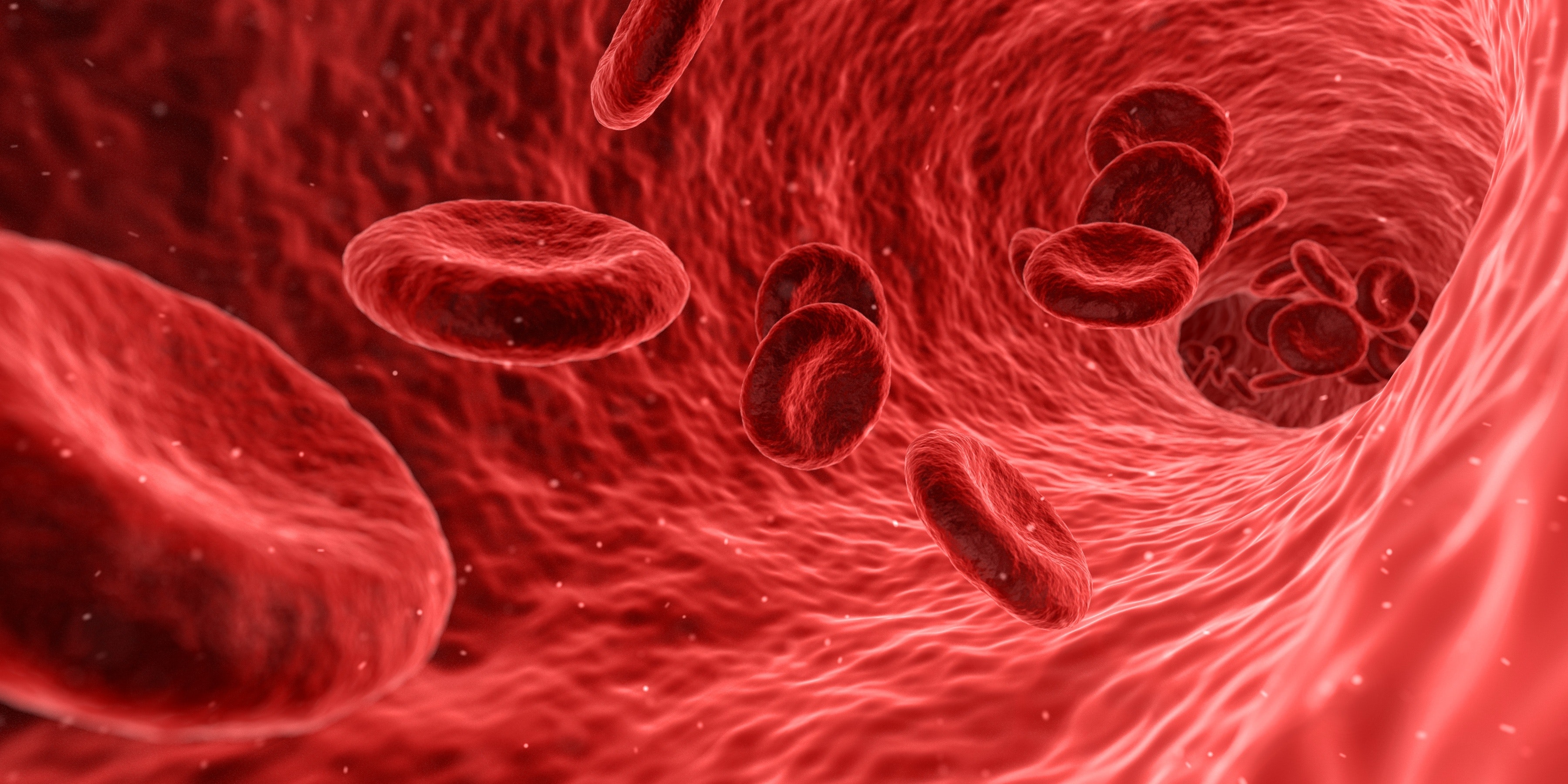 The Color of Blood: Red Blood Cells The Color of Blood: Red Blood Cells