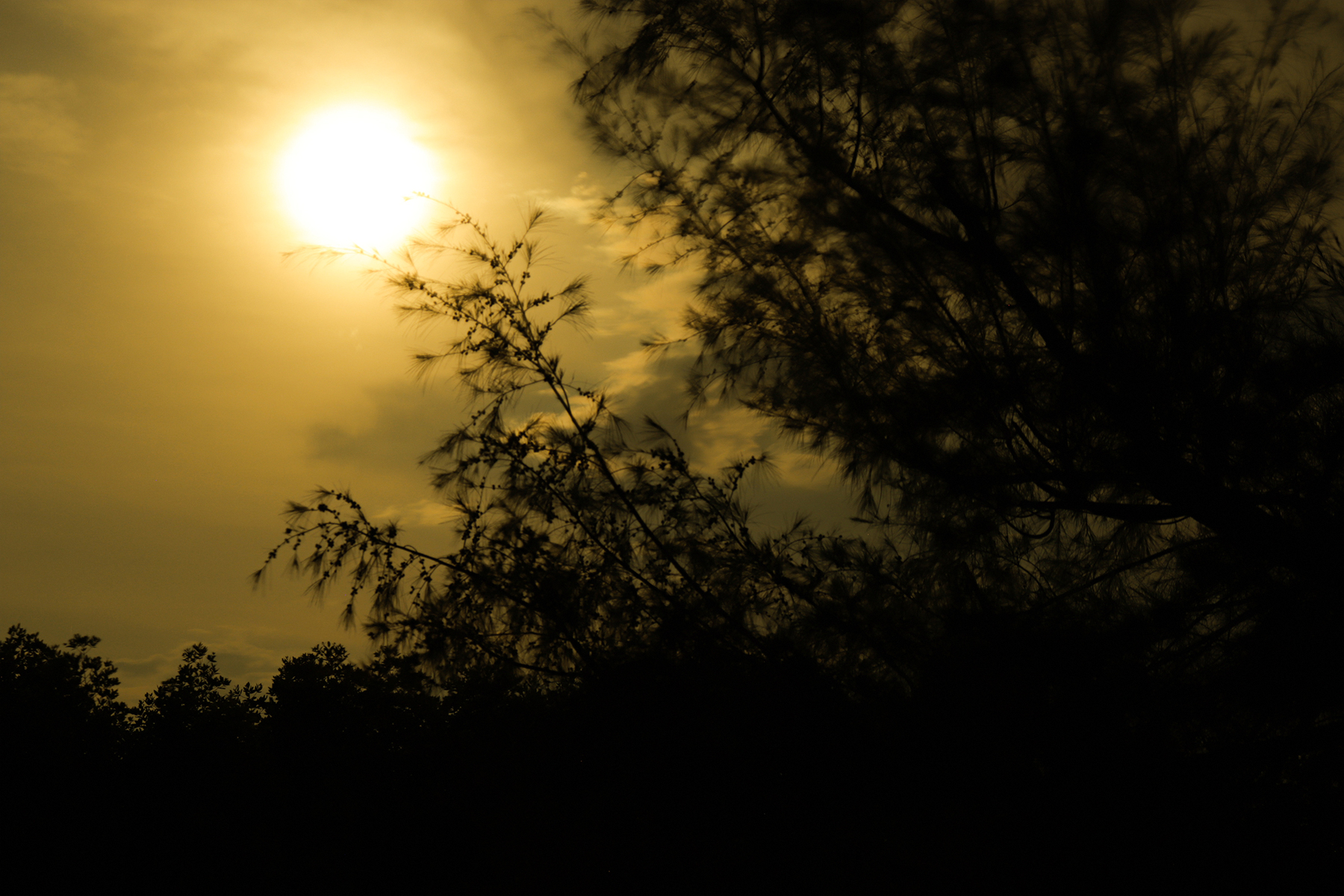 Merits of the 15th Night of Shaban